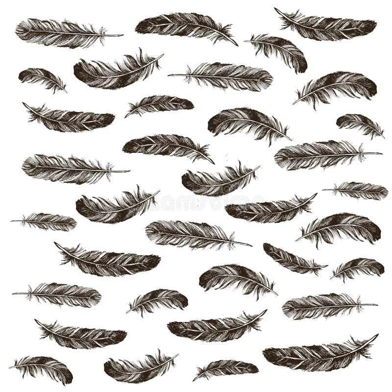 Feather Pattern Hand Drawn Style. Hand Drawn Vintage Design Set. Stock ...