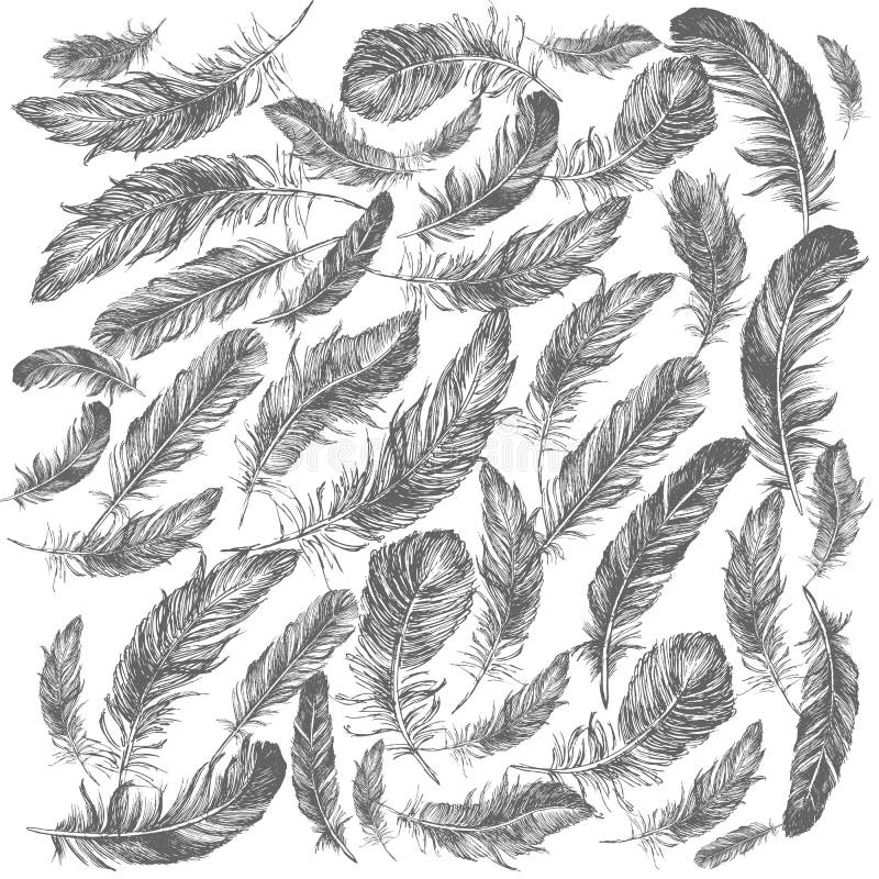 Feather Pattern Hand Drawn Style Stock Illustration - Illustration of ...