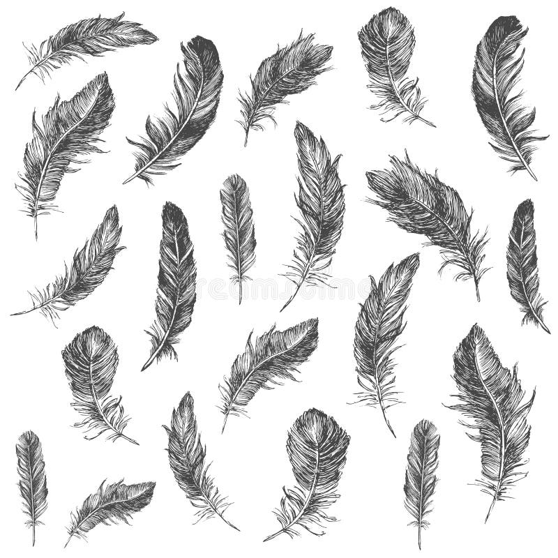 Feather Pattern Hand Drawn Style Stock Vector - Illustration of feather ...
