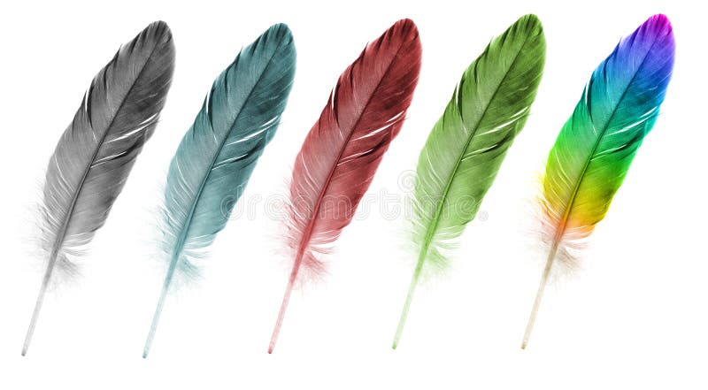 Feather Pen Set of Abstract Color Stock Photo - Image of feather, white ...
