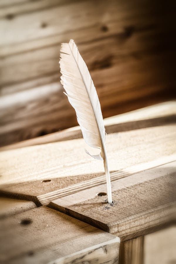 Open Book, Vintage Writing Tools Feather Pen and Inkwell Stock Photo ...