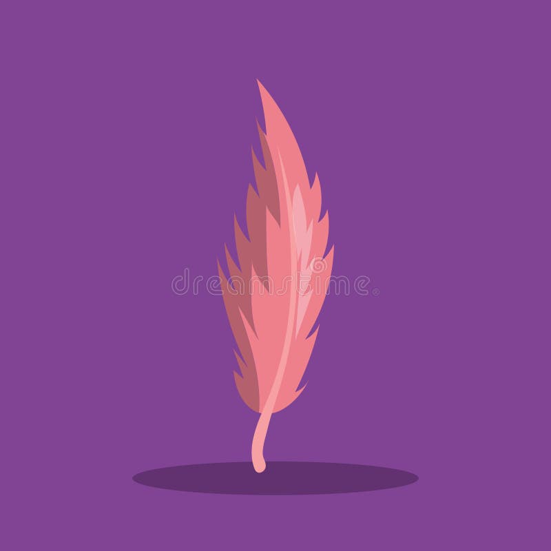 Feather pink 10 stock vector. Illustration of vectors - 197984234