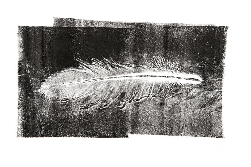 Feather Printed on Paper - Graphic Imprint Stock Image - Image of ...