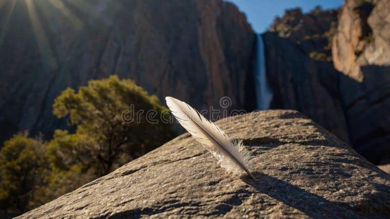 Single White Feather on a Rock with Waterfall Background Stock ...