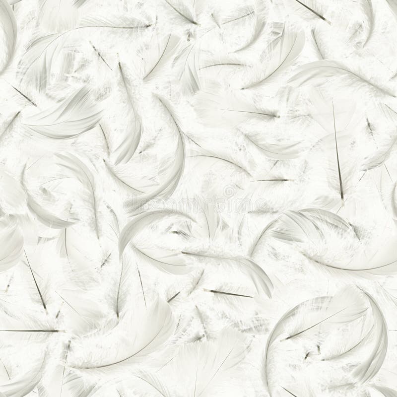 Feather Isolated. Abstract Bird Feather Texture Closeup Falling on ...