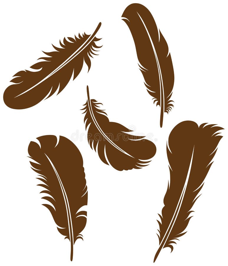 Feather Clip Art Cartoon Illustration Stock Vector - Illustration of ...