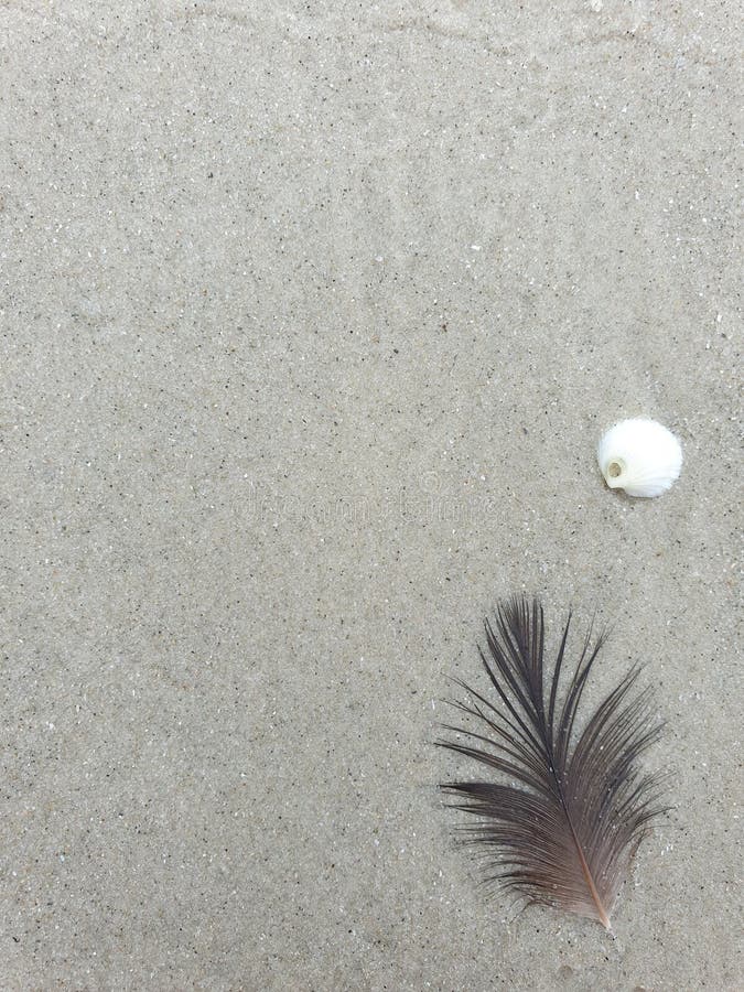 A Feather and a Shell on the Sand Stock Image - Image of drawing ...