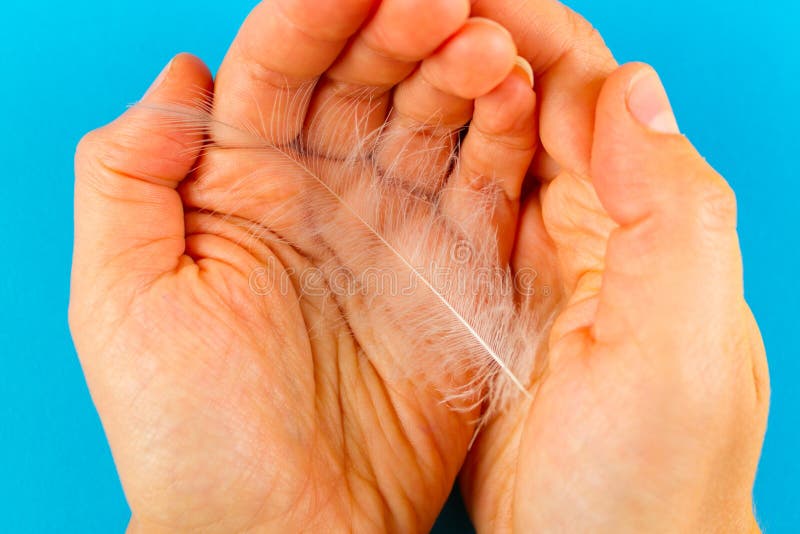 Feather and skin stock photo. Image of protect, care - 162795652