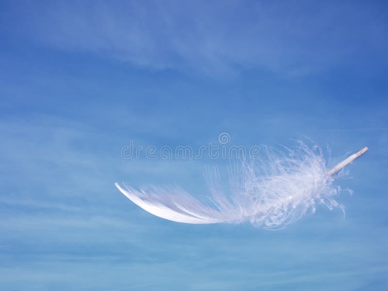 Floating Feather Over Sky - Lightness, Freedom Concept Stock Image ...