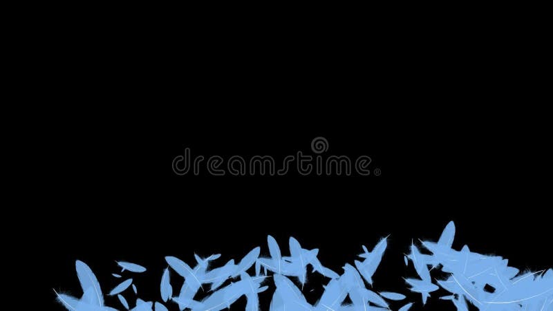 Color Feather Soaring Particle Motion Graphics Stock Footage - Video of ...