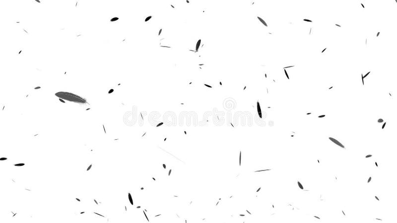 Color Feather Soaring Particle Motion Graphics Stock Footage - Video of ...