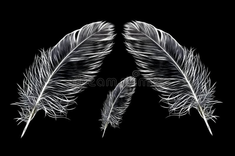 Feather/spring stock image. Image of nostalgia, spring - 17210663