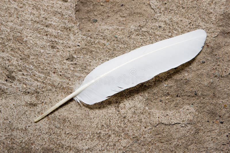 Feather on a stone stock image. Image of stone, natural - 6518945