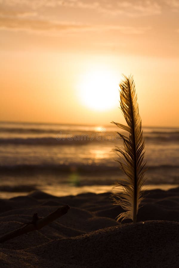 Feather and Sunset in Beach Stock Image - Image of cloud, sunlight ...