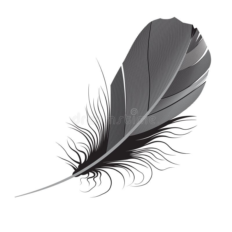 Feather Set Vector Illustration Sketch Stock Vector - Illustration of ...