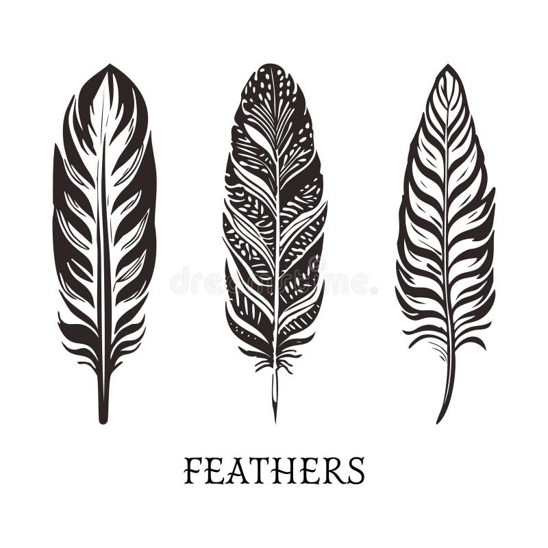 Indian Feathers Vector Illustration Stock Vector - Illustration of ...