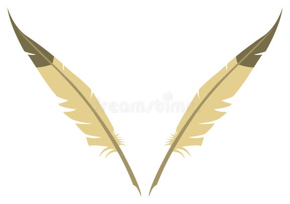 Feathers stock vector. Illustration of feather, pair, feathers - 4337631