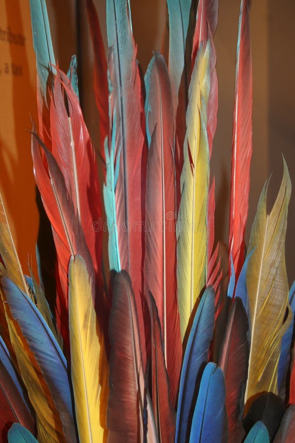Feathers stock photo. Image of ornament, colors, rainbow - 4716442