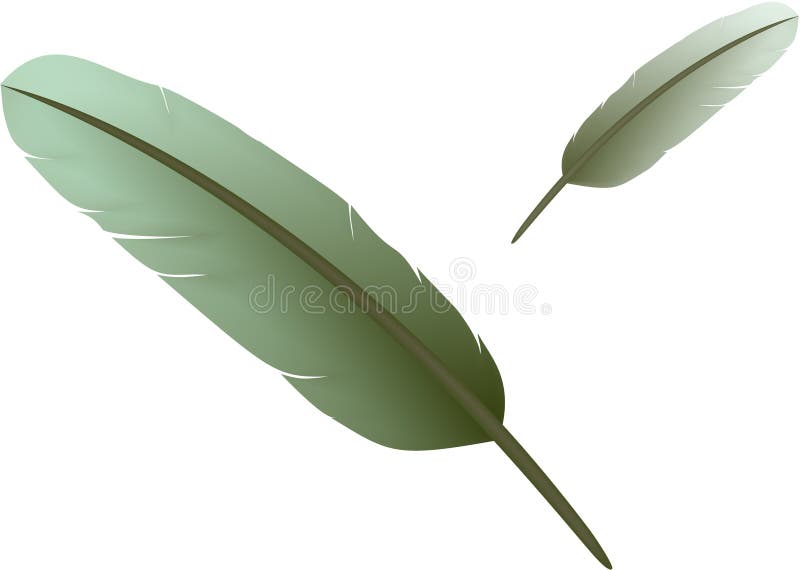 Two Feathers Stock Illustrations – 2,998 Two Feathers Stock ...