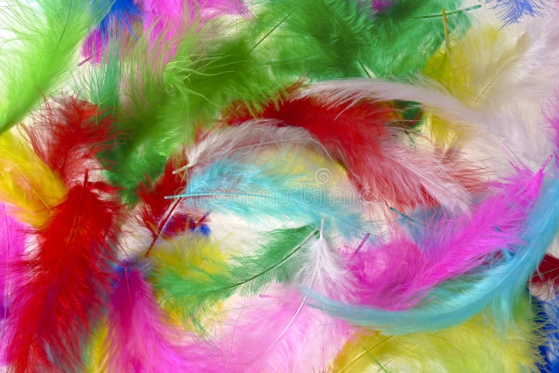 Colored Feathers with Rain Drops Stock Photo - Image of bright ...