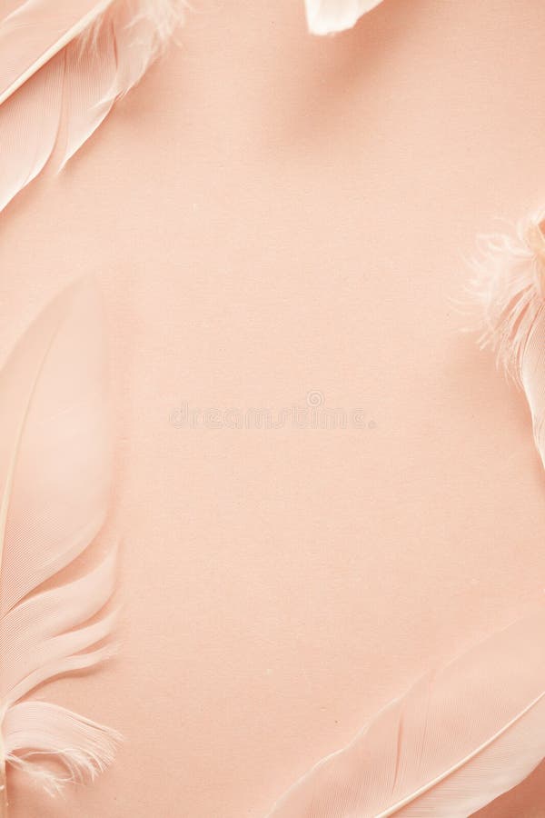 Beautiful Soft Feathers Background Texture Stock Image - Image of ...