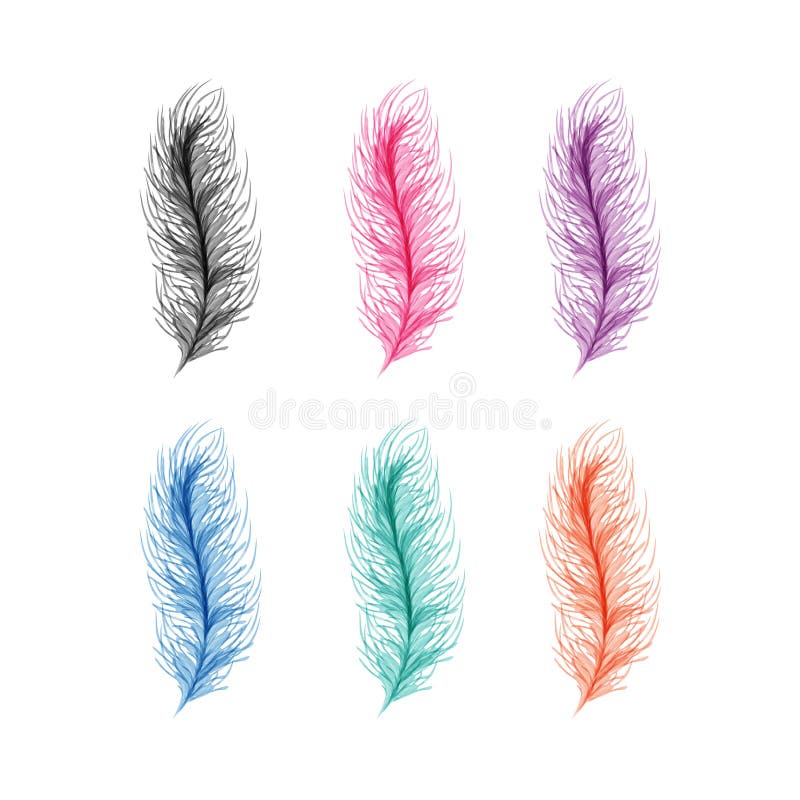 Feathers stock vector. Illustration of flight, feather - 92333188