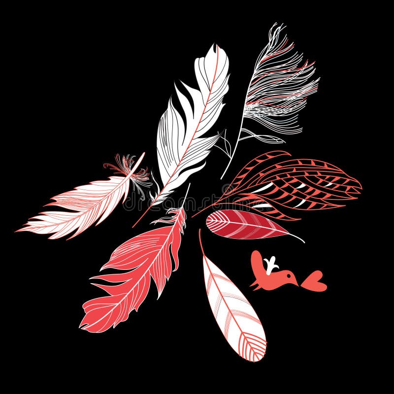 Individual Feathers Stock Illustrations – 88 Individual Feathers Stock ...