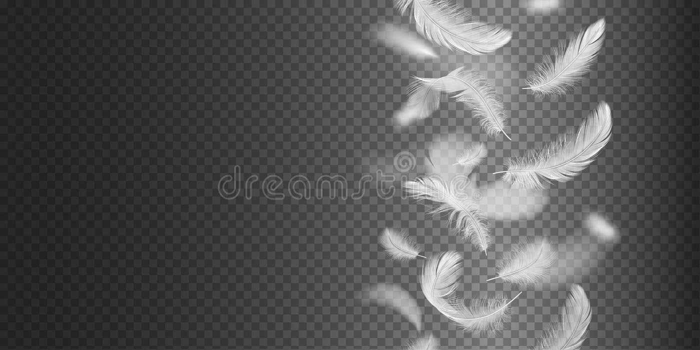 Angel Feather Border Stock Illustrations – 287 Angel Feather Border ...