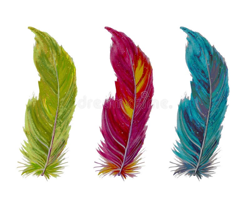 Feathers are Bright Colored in the Set Stock Illustration ...