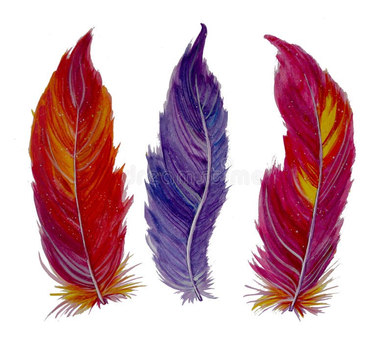 Feathers are Bright Colored in the Set Stock Image - Image of paint ...