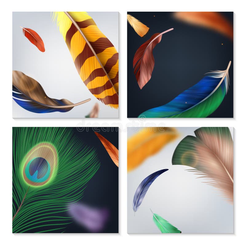 Feathers Card Template Set in Realistic Style Stock Image - Image of ...