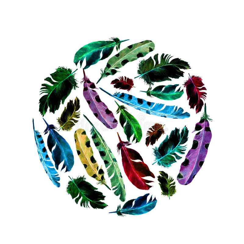 Feathers. Circle Pattern on Black Background. Watercolor Stock ...