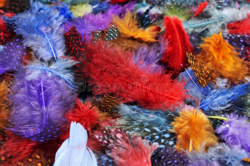 Feathers of Different Colors Stock Image - Image of object, accessory ...