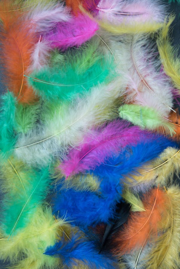 Feathers of Different Colors. Background, Feather Texture Stock Image ...