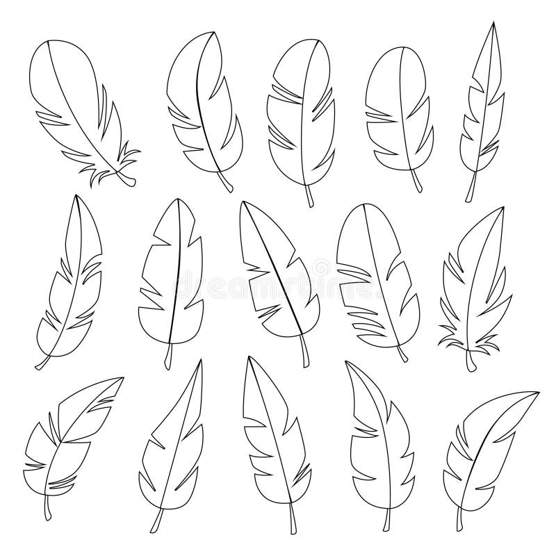 Feathers of Different Shapes Vector Set. Icons Feathers in a Flat Style ...