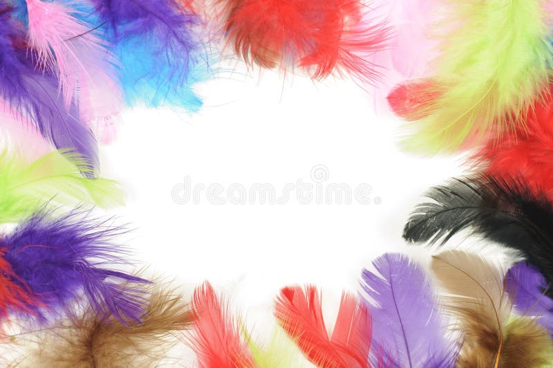 Feather borders stock image. Image of softness, soft, feathers - 1209007