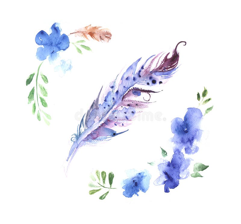 Feathers Illustration Feathers Illustration Feathers Illustration Stock ...