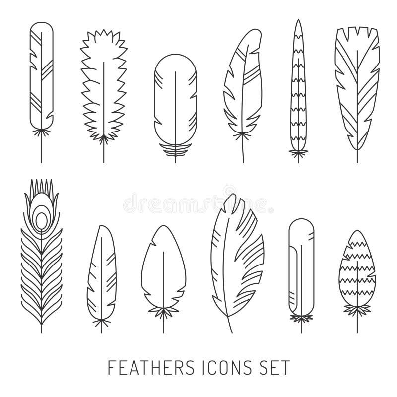 Feathers Outline Gray Icons Vector Set. Minimalistic Design. Stock ...