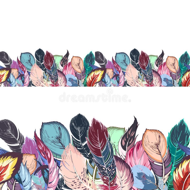 Feathers seamless border stock vector. Illustration of bird - 172683427