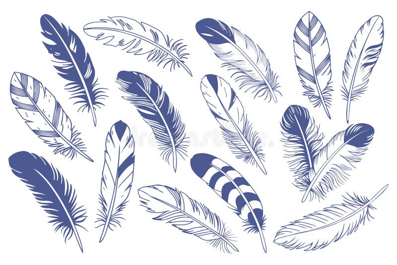 Feathers Set. Collection of Intricate Hand Drawn Blue Bird Feathers ...