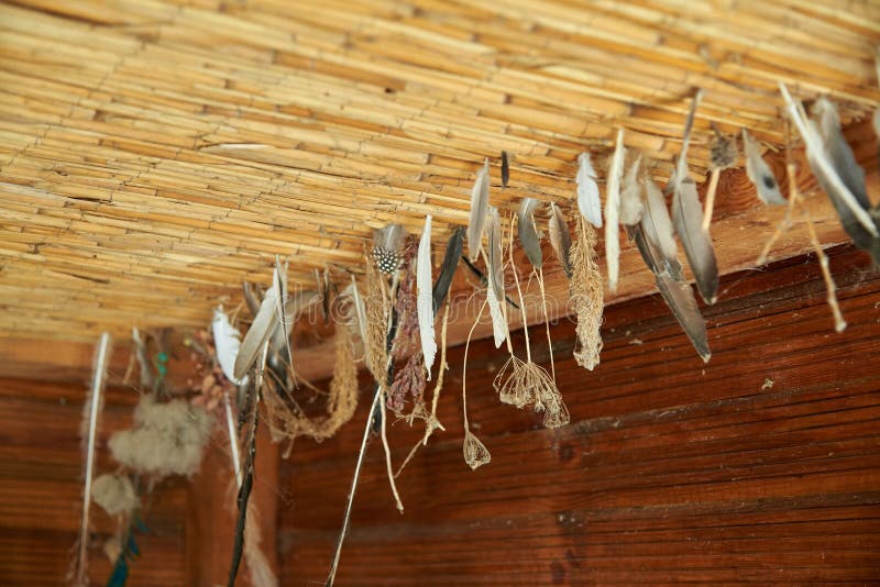 Feathers of Various Birds in the Thatched Ceiling Stock Photo - Image ...