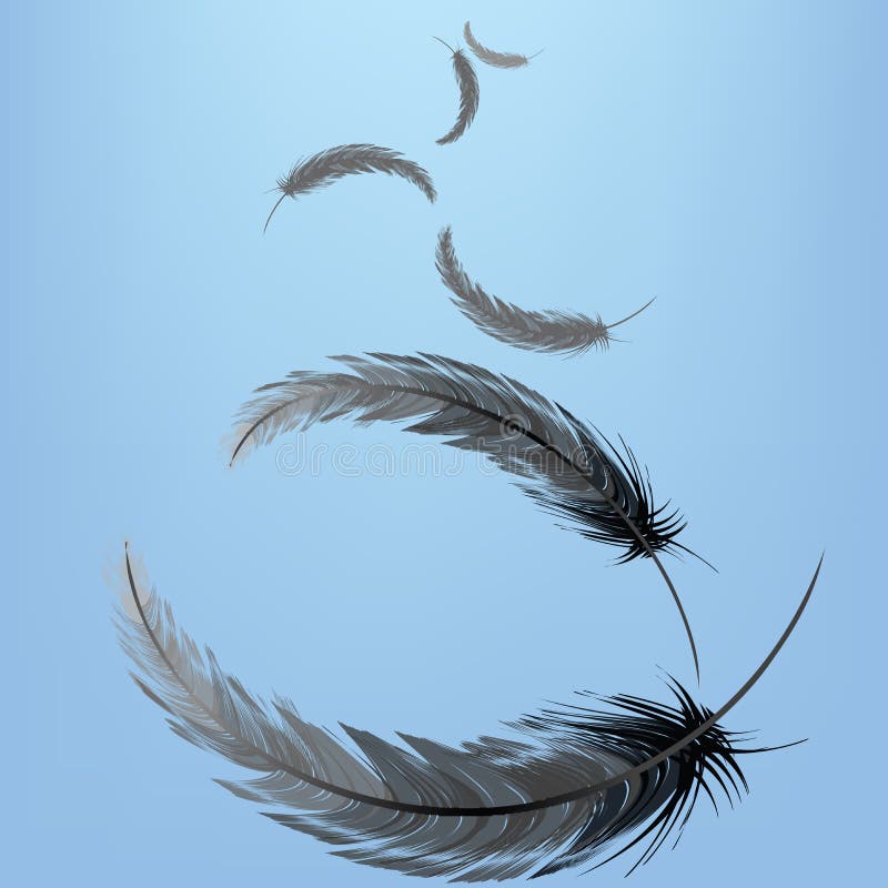 Feathers in the wind stock vector. Illustration of abstract - 16856652