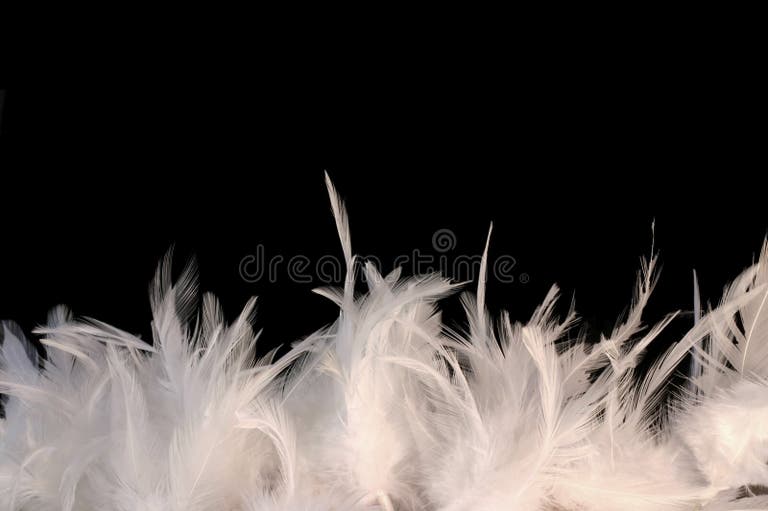 4,093 Angel Border Stock Photos - Free & Royalty-Free Stock Photos from ...