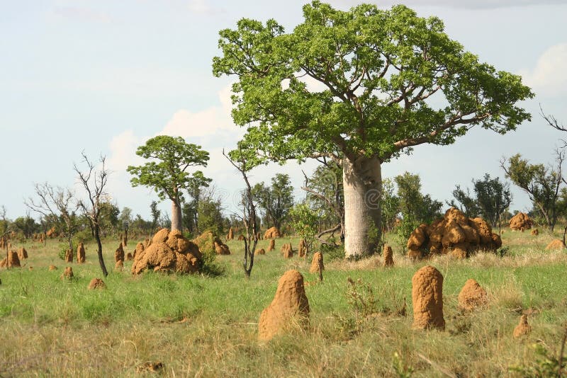 Feature Land Picture. Image: 4845122