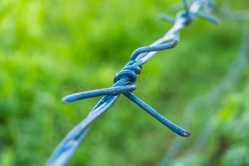 Features a Close-up of a Security Fence with Barbed Wire Strands Stock ...