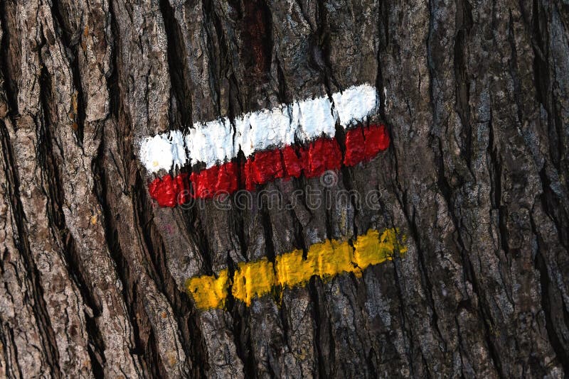 Marked Path Stock Illustrations – 339 Marked Path Stock Illustrations ...