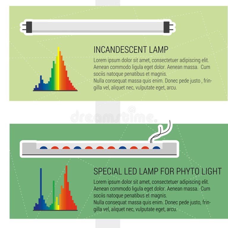 Photon Infographic Stock Illustrations – 38 Photon Infographic Stock ...