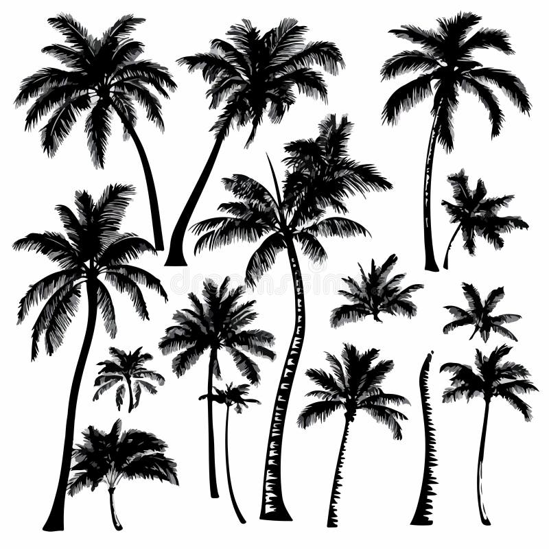 Palm Tree Outlines Stock Illustrations – 306 Palm Tree Outlines Stock ...