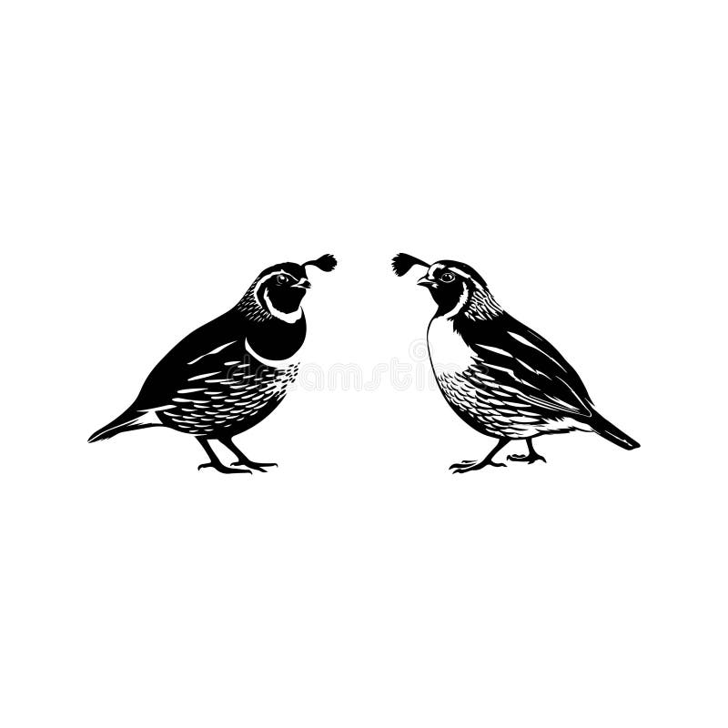 Quail Silhouette Vector Icons Design Stock Illustration - Illustration ...
