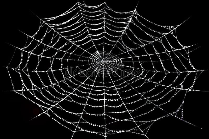 Featuring a Spider Web in Graphics on a Black Background with White ...